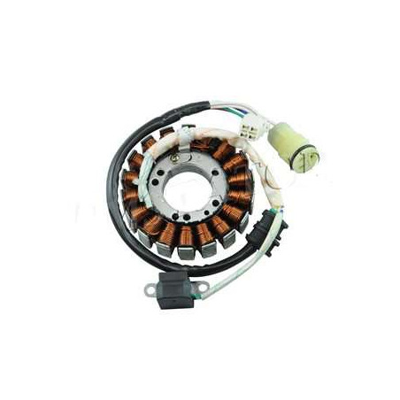 STATOR ALLUMAGE 660 RAPTOR